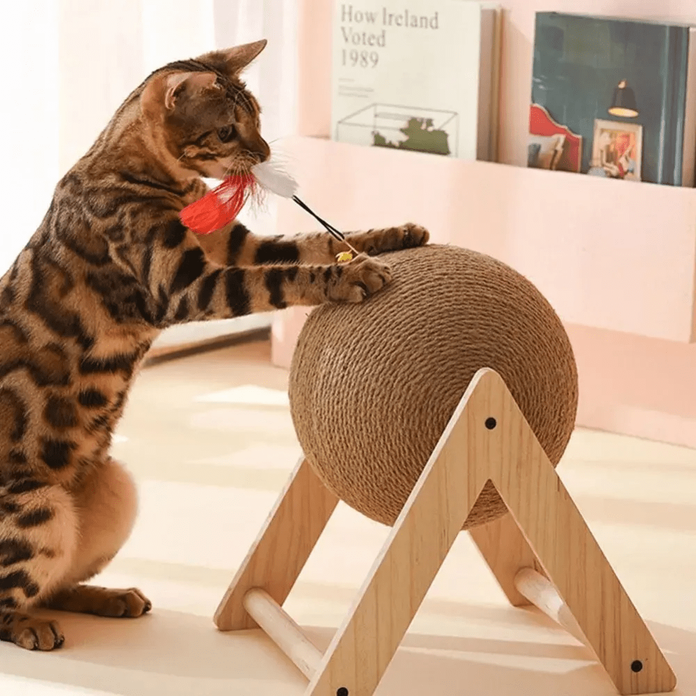 1pc Interactive Cat Toys Ball Magic Cat Scratch Board Toy With Bell Cat ...