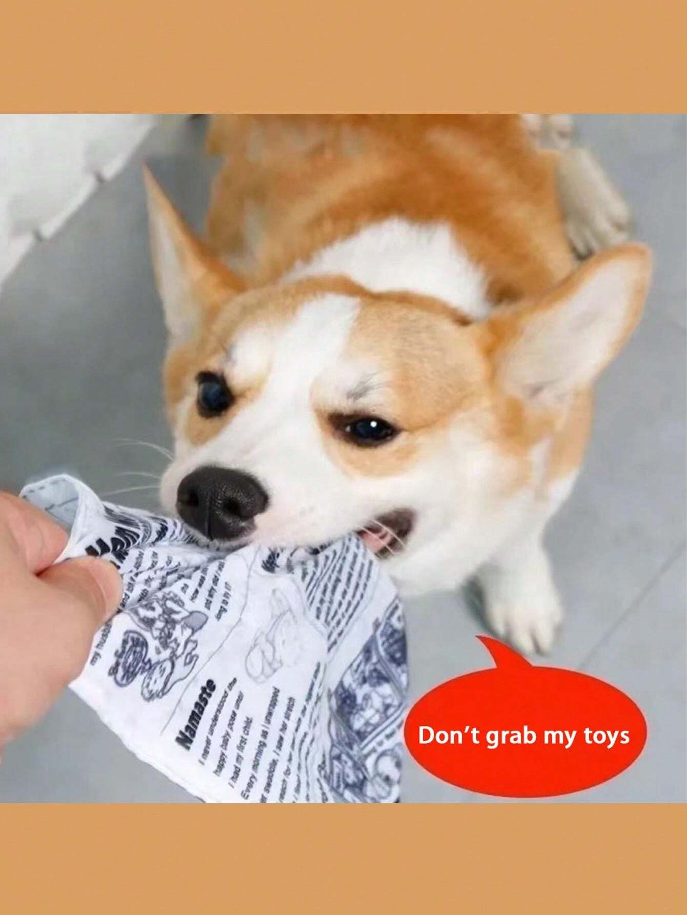 Random Pattern Dog Voice Toy Pet Squeaky Paper Simulation Newspaper ...