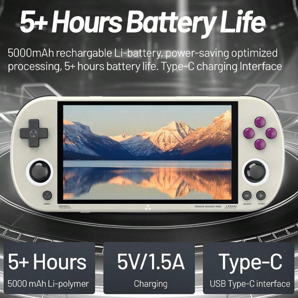 TRIMUI Trimui Smart Pro Retro Grey Handheld Game Console 4.96''IPS ...