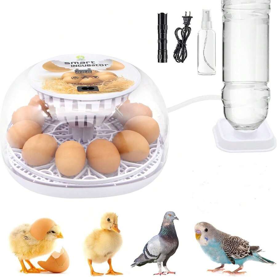 12 Egg Incubator, Incubators For Hatching Eggs, Automatic Egg Turner ...