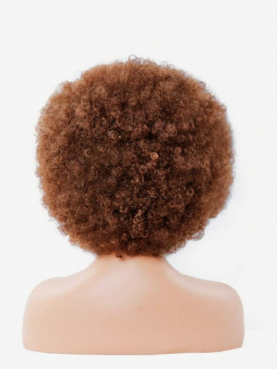 14 Inch Afro Wig 70s Curly Wigs For Black Women Glueless Afro Wigs ...