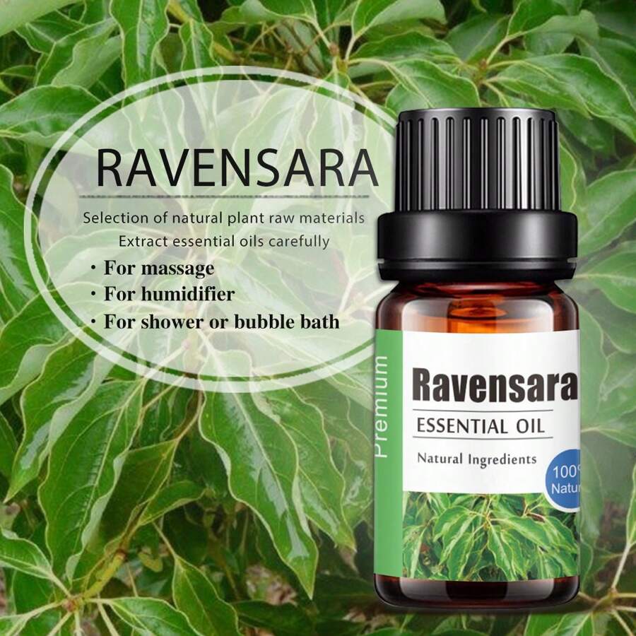 KANHO Ravensara Aromatherapy Essential Oil 10ml 0.33fl.Oz Natural ...