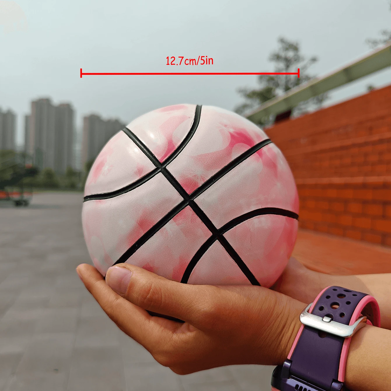 Miniature Basketball Set No.1 For Office Stress Relief And Decoration ...