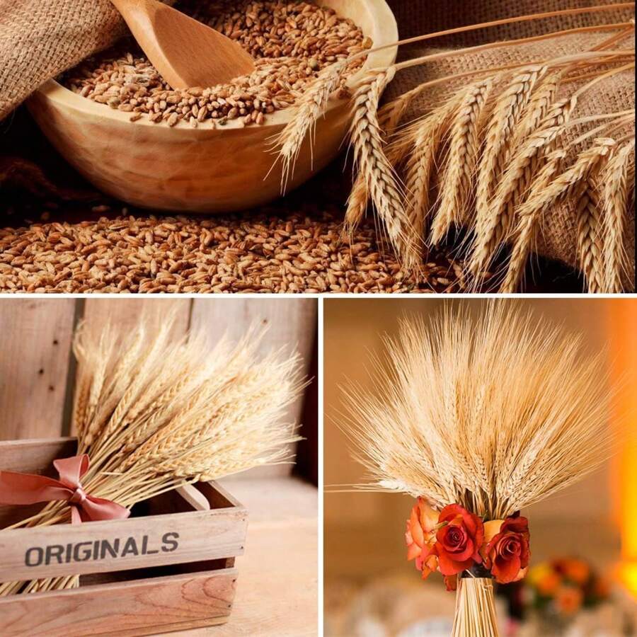 150pcs Dried Natural Wheat Stalks, 17inch Dry Wheat Bundle For Flower ...