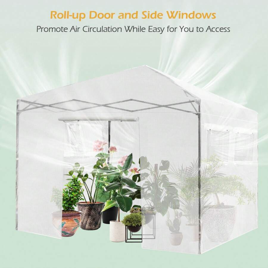 3M X 3M Portable Garden Greenhouse Indoor & Outdoor, Mini Walk-In ...