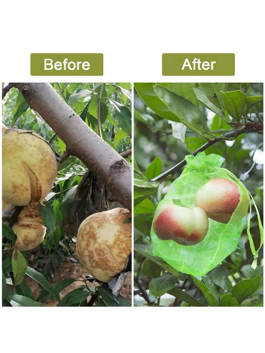 10pcs-Fruit Protection Bag Fruit Net Bag With Drawstring Fruit Bag For ... 10pcs-Fruit Protection Bag Fruit Net Bag With Drawstring Fruit Bag For ...