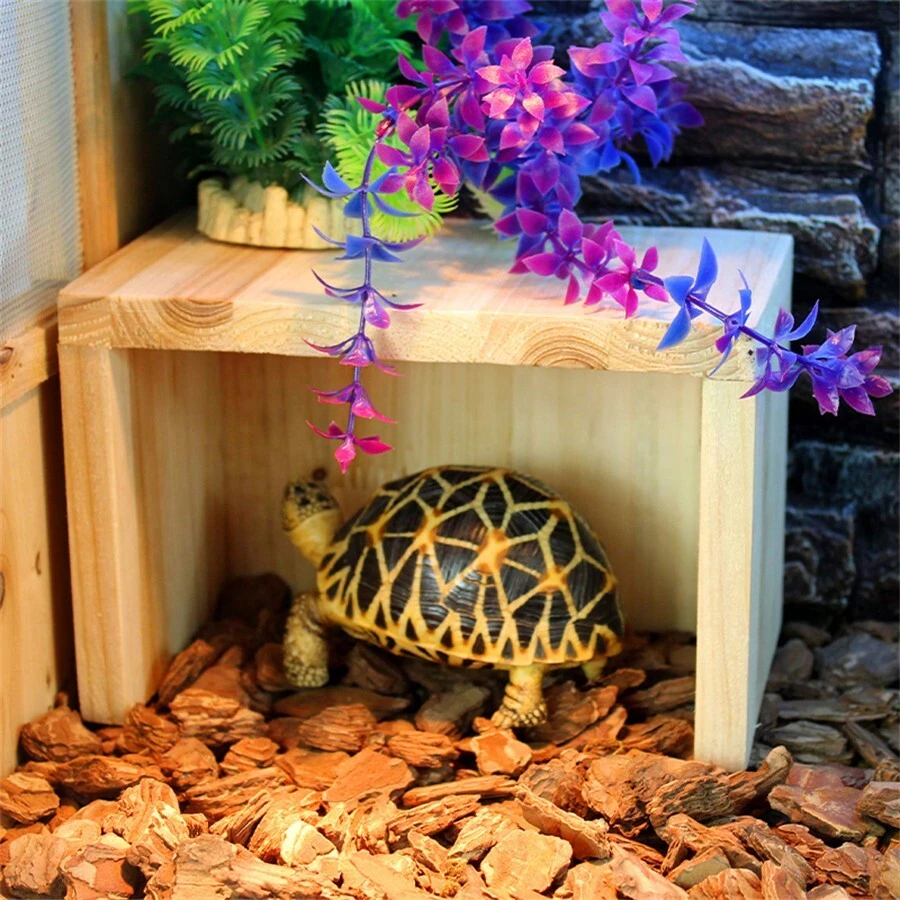 1pc Square Wood Hide Cave For Reptiles, Tarantulas And Scorpions ...
