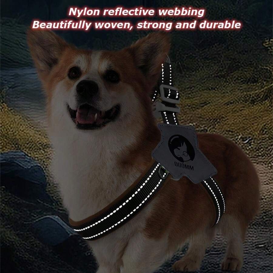 1 Set Y-Type Reflective Small Dog Harness And Leash Set , Girl And Boy ...