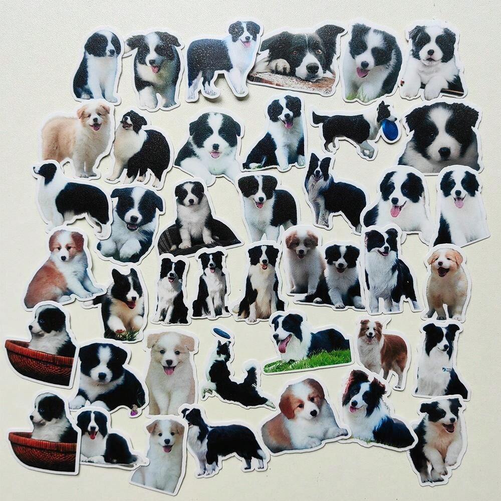 Border Collie Dog Sticker, Lovely Dog Decal For Scrapbooking Material ...