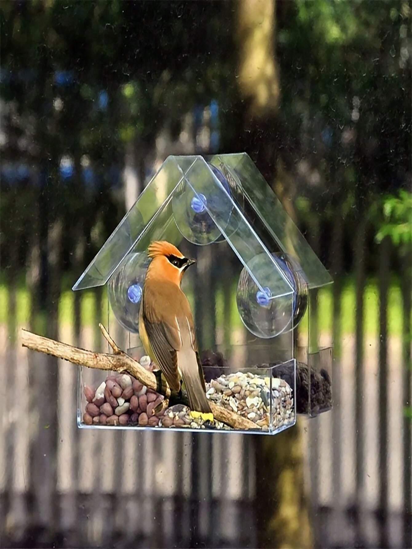 1pc Transparent Acrylic Bird Feeding Cage For Small Birds With Suction ...