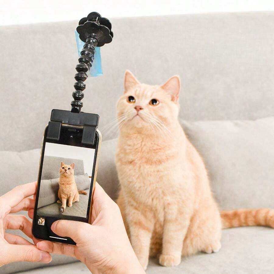 Pet Photography Artifact Cat Dog Looking At The Camera Teddy Camera Toy ...