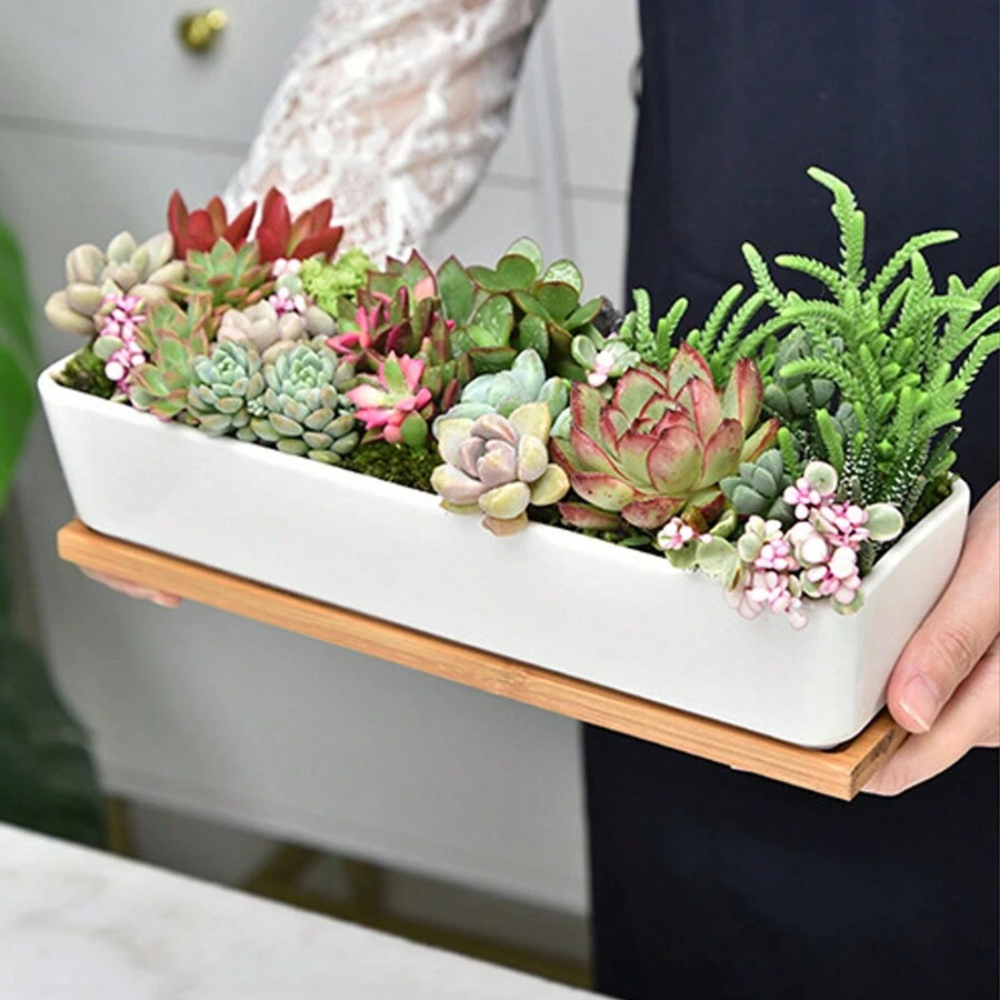 1 Pc White Succulent Planter Pots, Long Rectangle Ceramic Plant ...