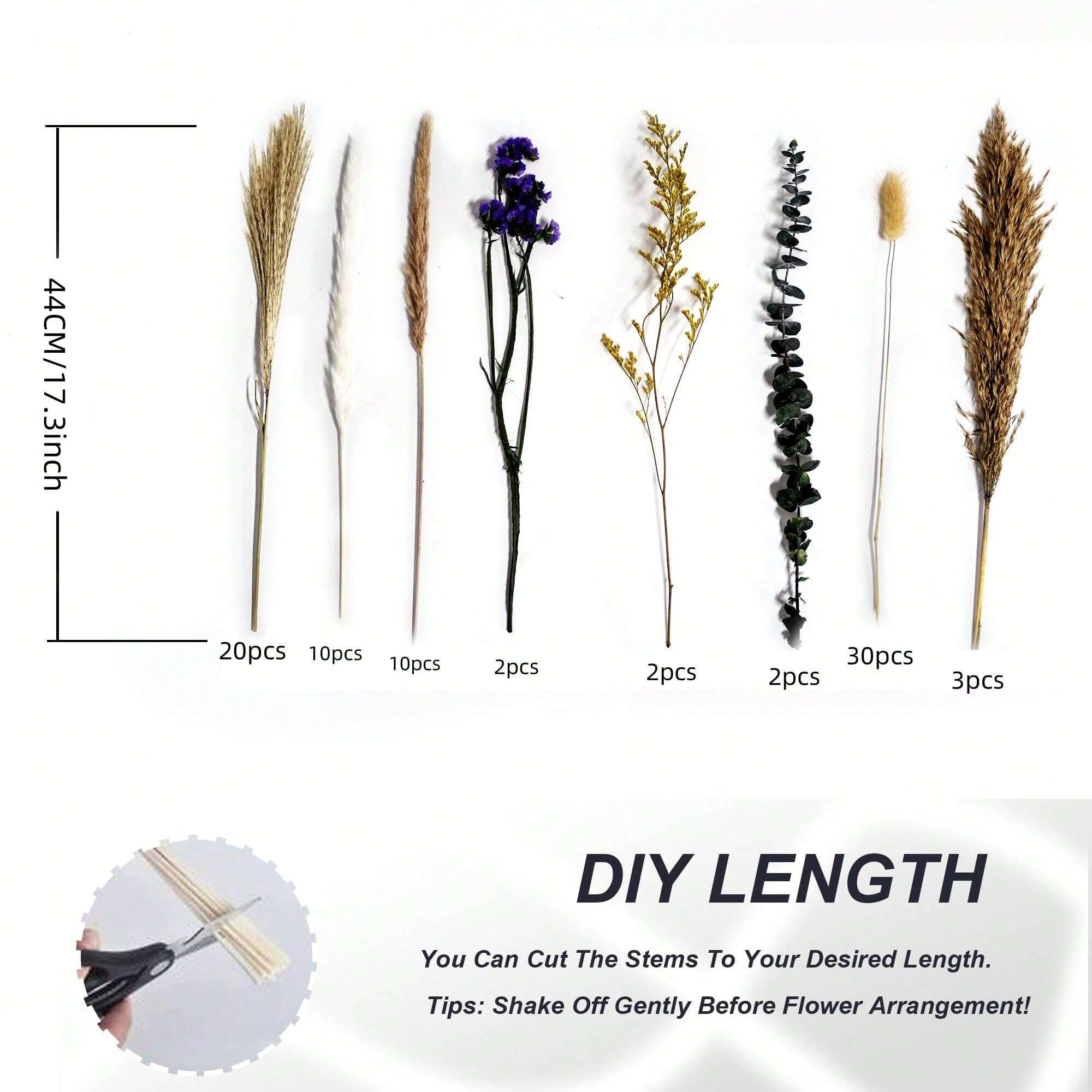 Buquê de 79 peças de capim seco natural Pampas, decoração de mesa em ...