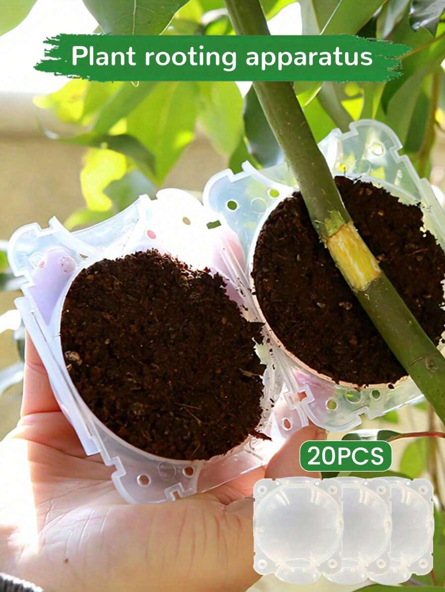 20PCS Plant Rooting Ball Case Box Reusable Transparent High Pressure ...
