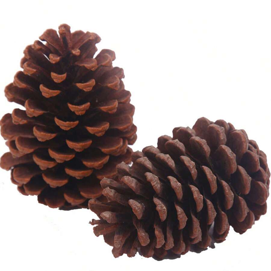 1pc DIY Wooden Slice Tree Branch Bundle Gift Box Package Set / Dried ...