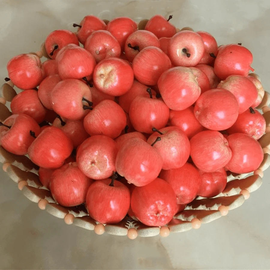 Artificial High Imitation Fruit Model Decoration, Food Sketching Prop ...