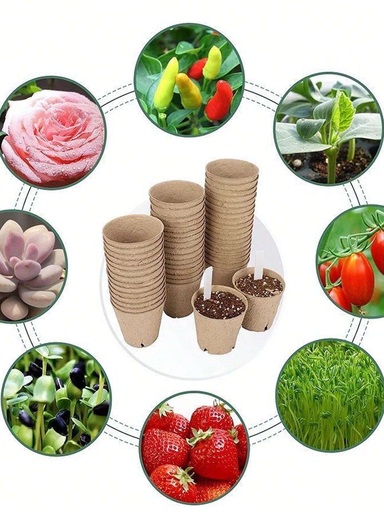 24pcs 6cm Round Paper Pulp Seedling Cups Nursery Soil Cups Nutritional ...