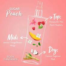 Body Fantasies Sugar Peach Fragrance Body Spray 8oz | aktuelle Trends ...