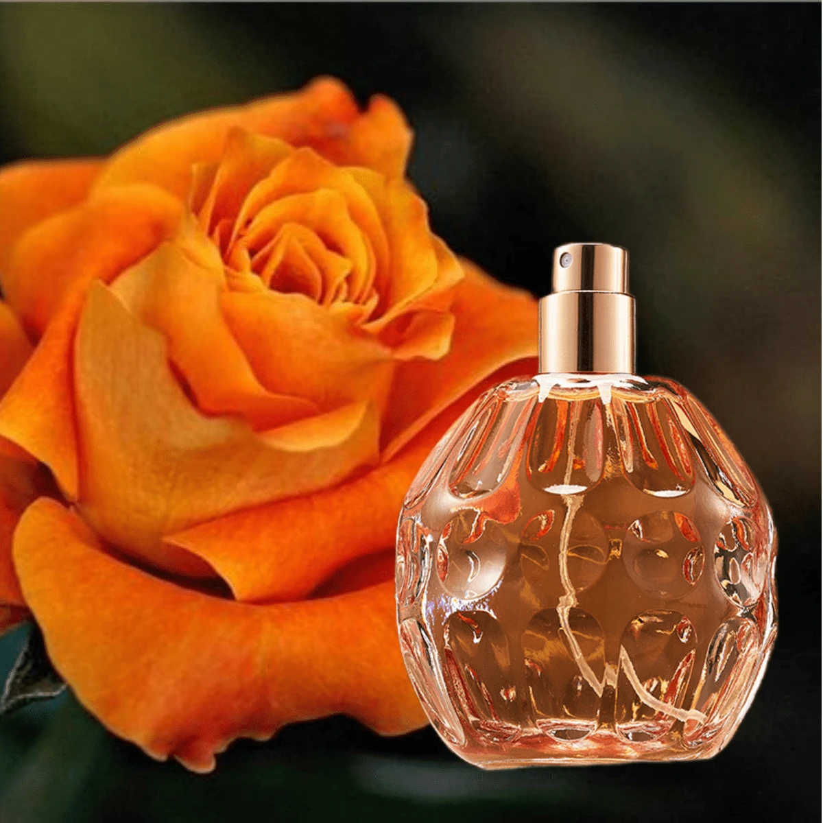 Caja de regalo de perfume para mujeres "Sweet Candy Flowers" de 100ML ...