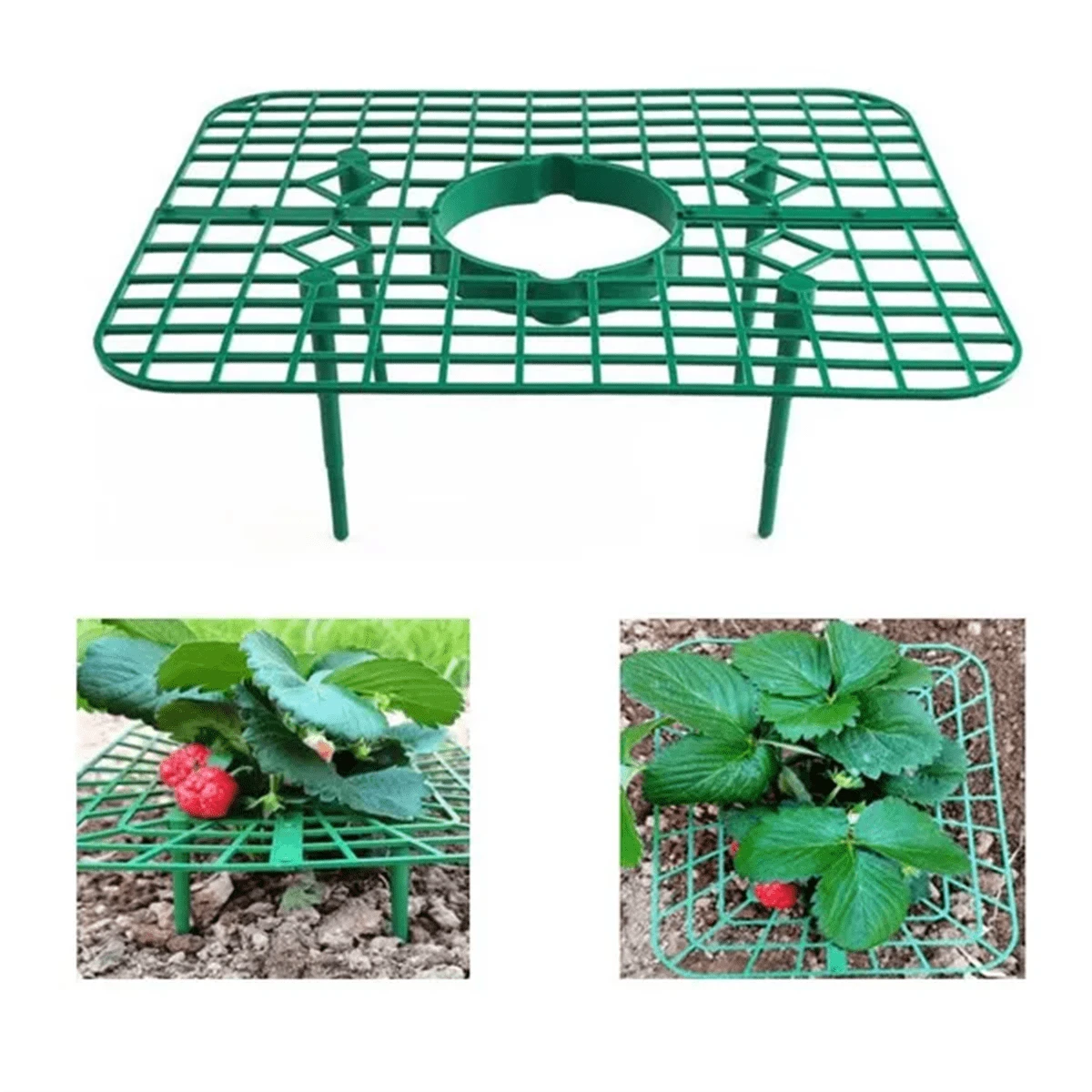 1 pieza Soporte de plantas de fresa, Stand de plantación de fresa ...