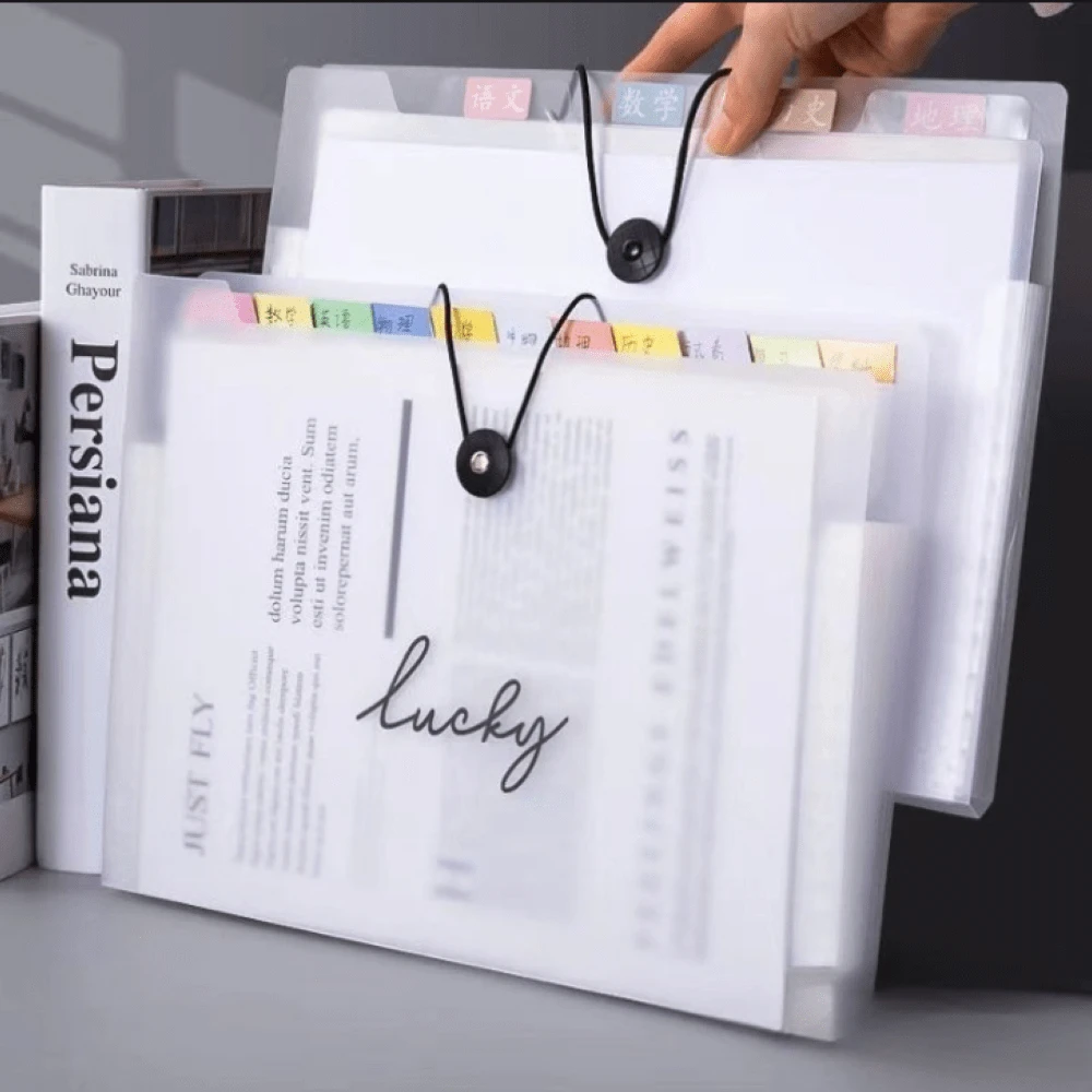 12-Grid Transparent A4 Size File Folder With Classified Label, 210mm ...