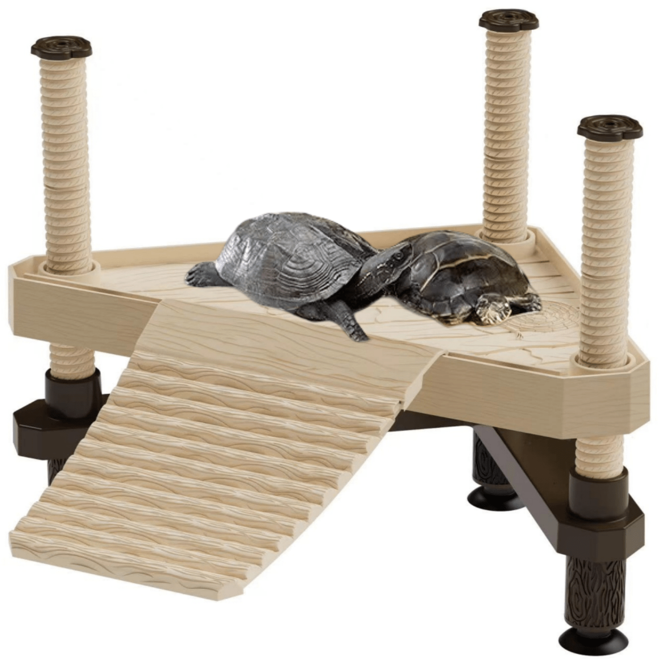 Turtle Platform Climbing Platform Turtle Tank High Water Level Sun Back ...
