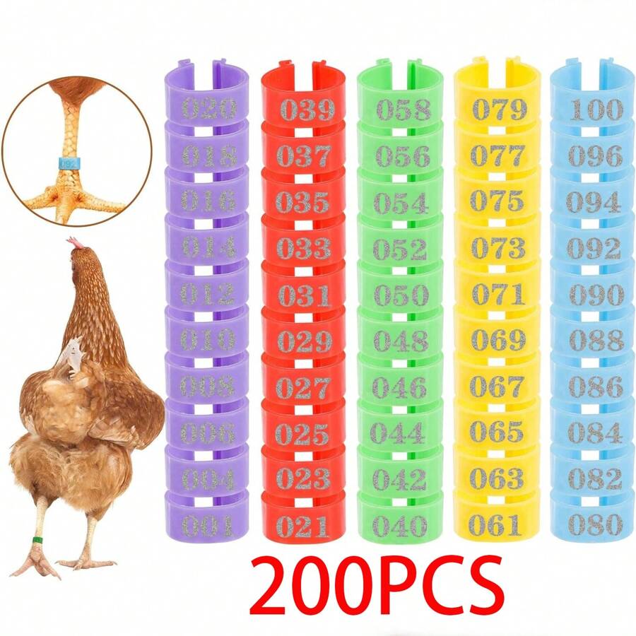 200Pcs Coturnix Quail Leg Bands Baby Chick Leg Bands Multicolor Quail ...