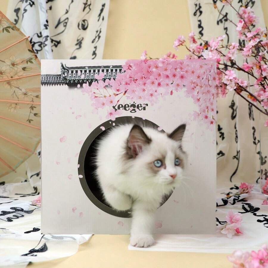 Xeeger Spring Square Paper Box Cat House Corrugated Paper Cat Bed ...