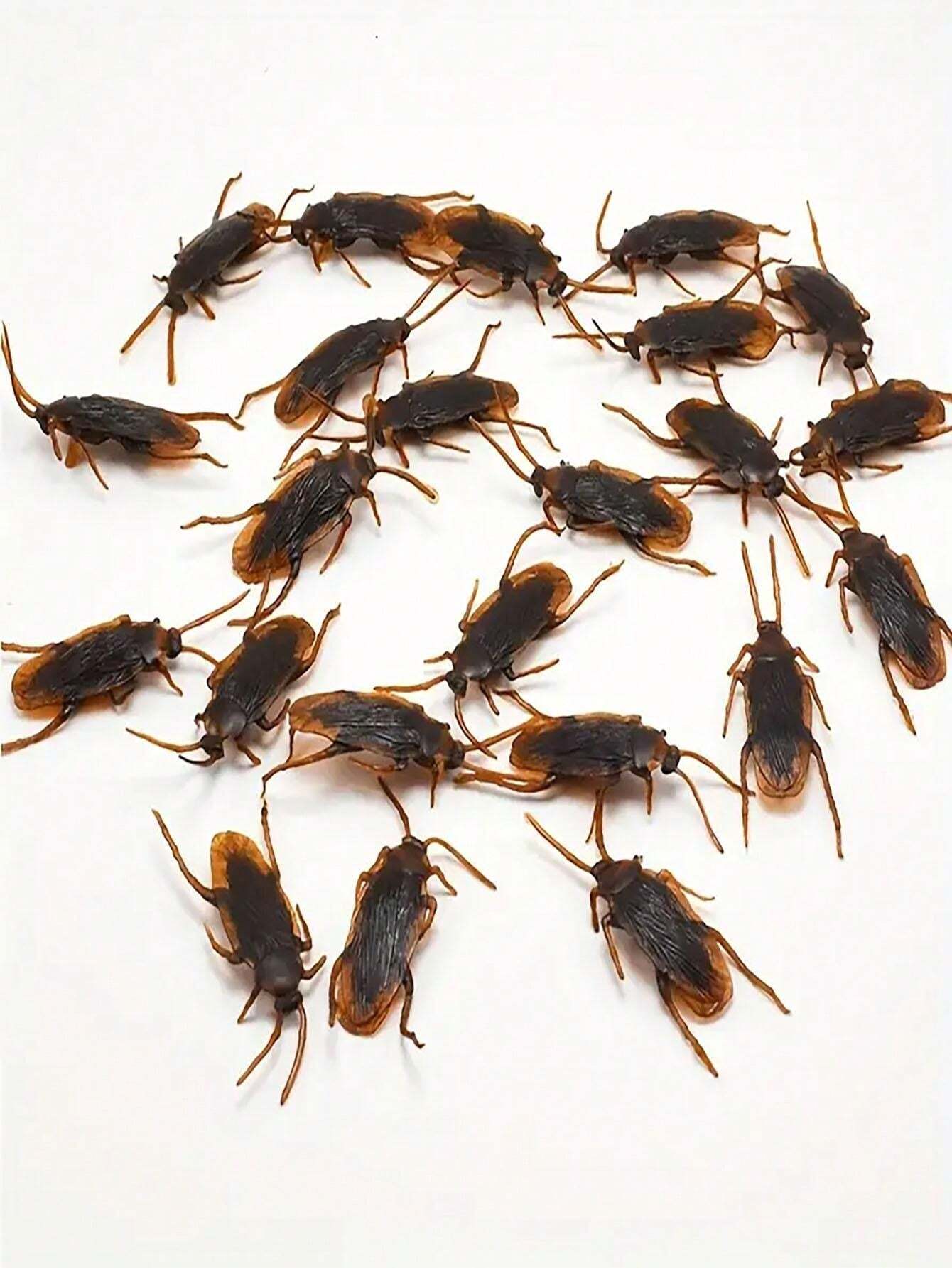 10pcs Funny Toy Fake Cockroach, Realistic Insect Prank Simulation ...