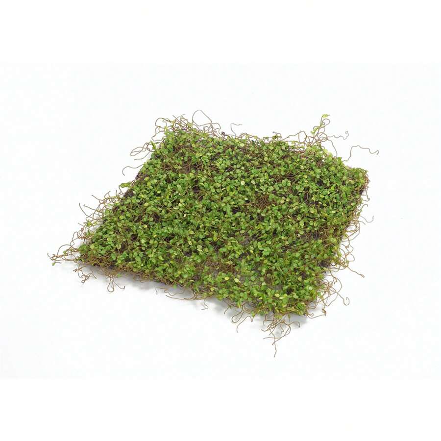 Lifelike Moss Display Mat (Set Of 12) | SHEIN USA