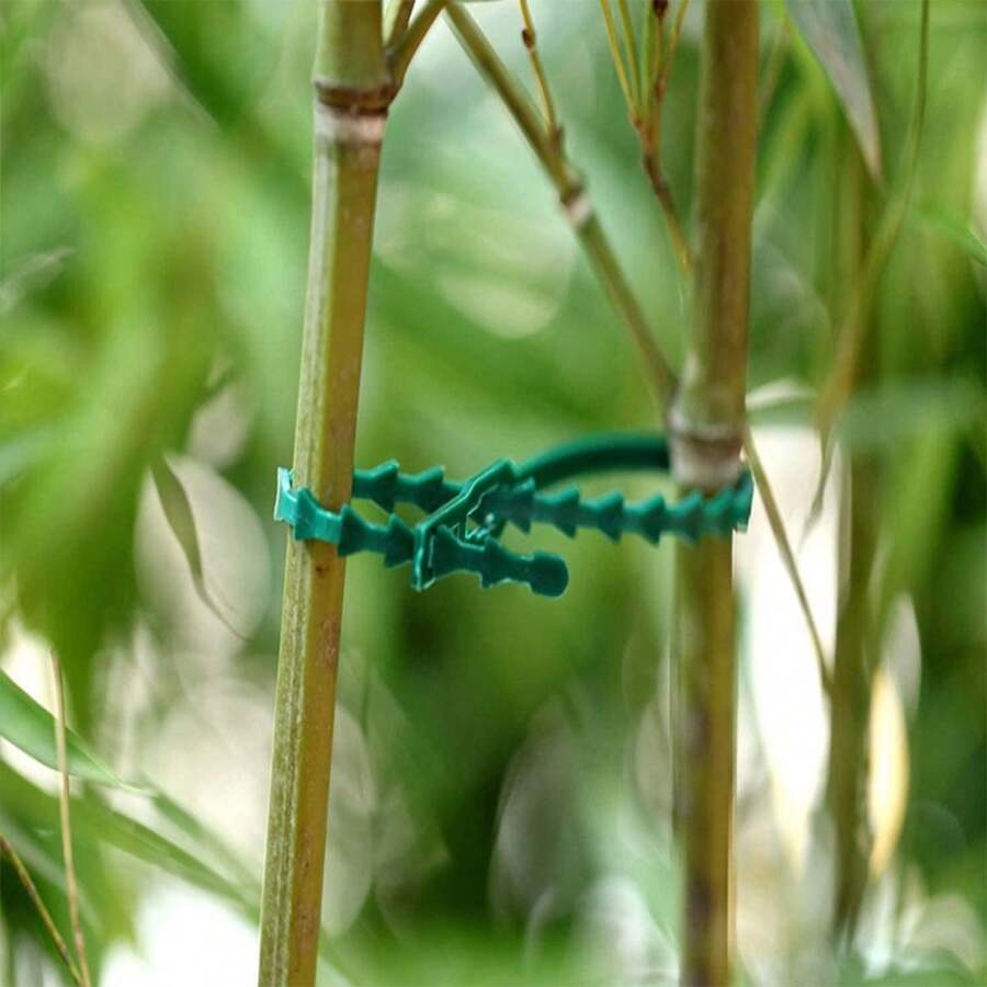 Adjustable Plant Ties - The Perfect Garden Tool For Planting Supplies ...