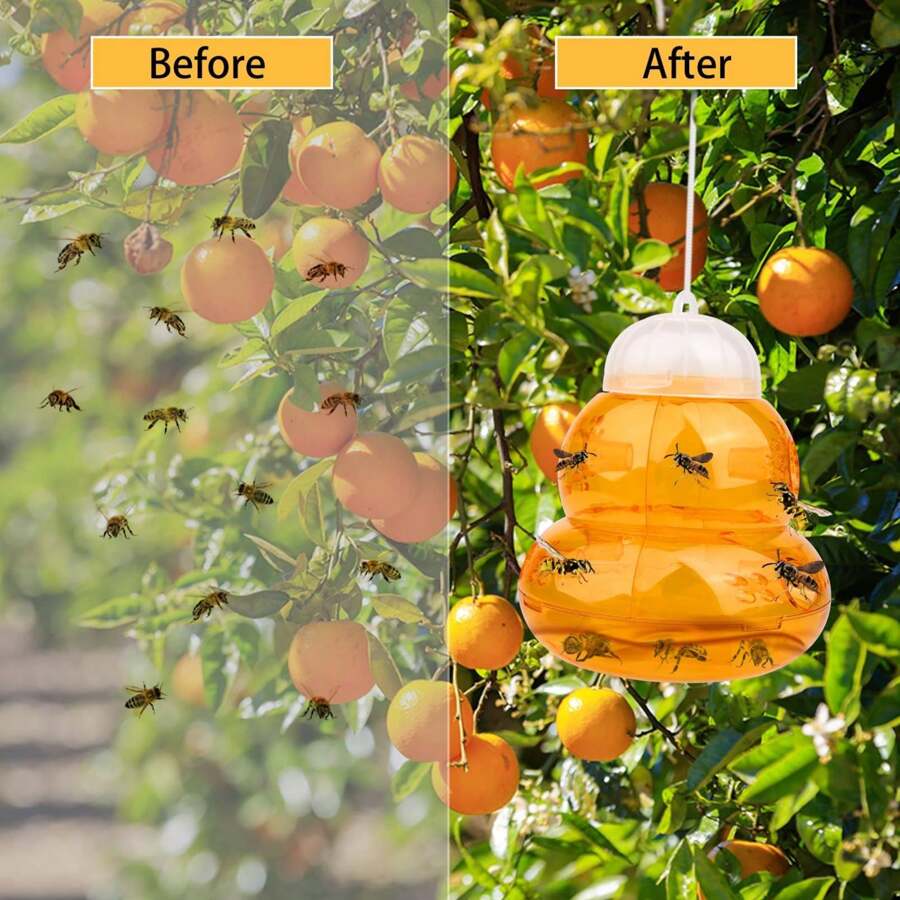 1 Piece Of Kit For Outdoor Wasp Trap, Yellow Jacket Killer Reusable Bee ...