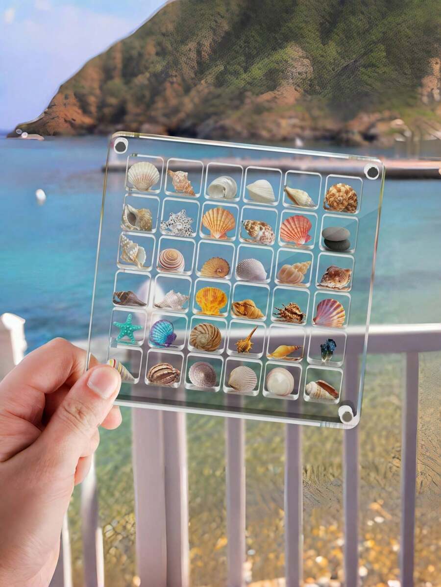 36 Storage Box Shell Storage Box Mini Conch Shellfish Specimen ...