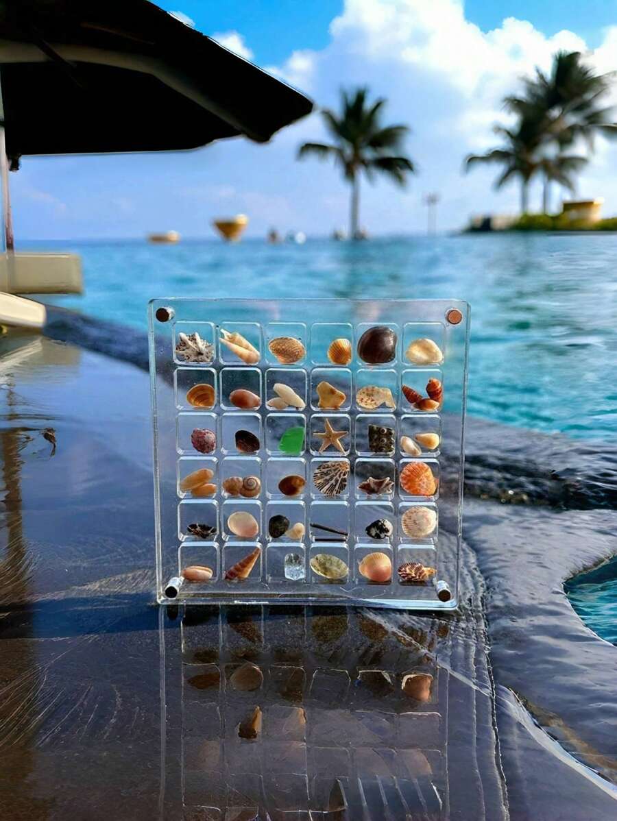 36 Storage Box Shell Storage Box Mini Conch Shellfish Specimen ...