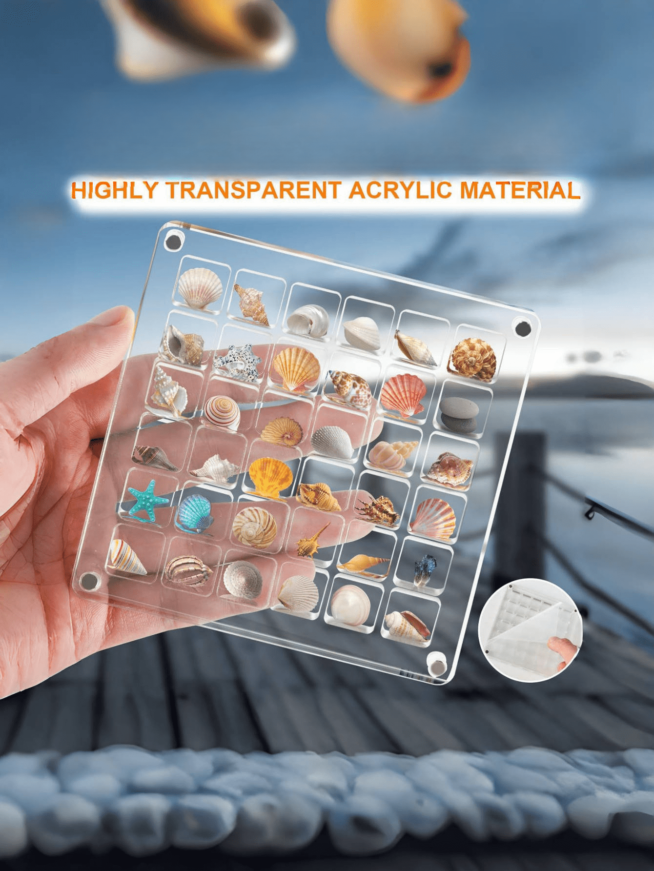 36 Storage Box Shell Storage Box Mini Conch Shellfish Specimen ...