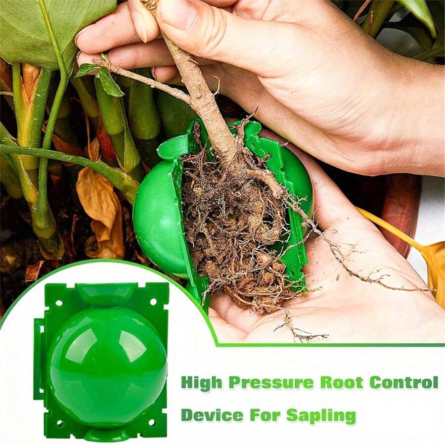 1/3pcs Tree Root Growing Box, Rooting Ball Grafting Tools, High ...