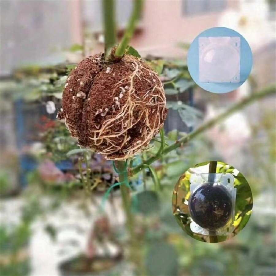 1pc Plant Rooting Box Plant Propagation Ball For Air Layering And ...