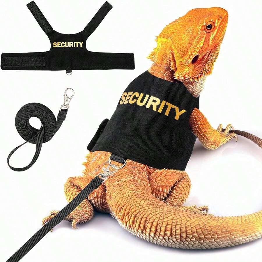 Disfraz de lagarto camaleón para Halloween para seguridad y diversión ...