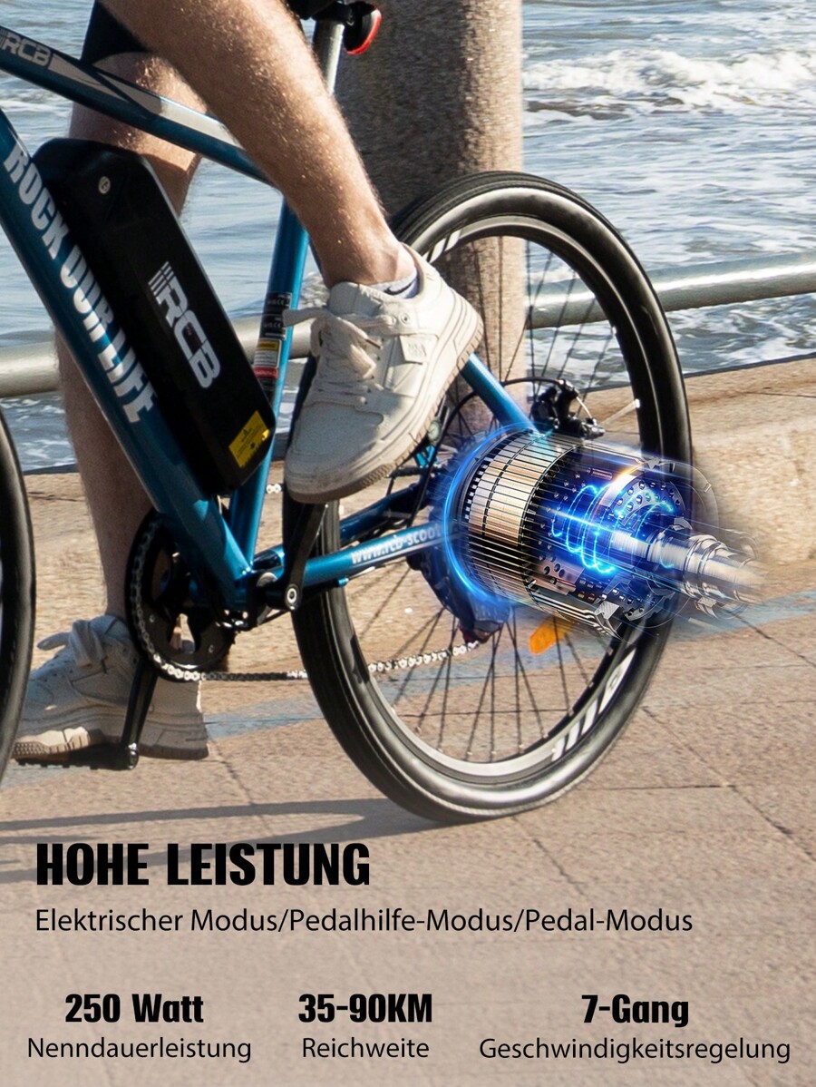 E-bike RCB RK15, potenza elevata di 250 W, batteria rimovibile, e-bike ...