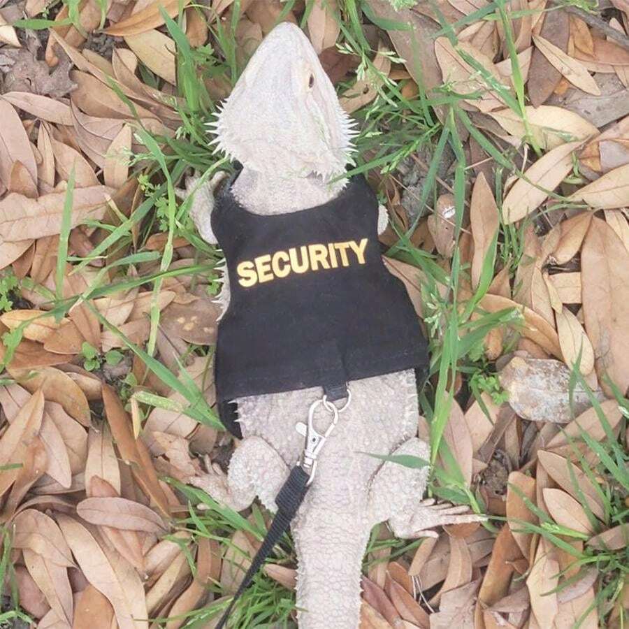 Chameleon Lizard Halloween Costume For Security Guard And Pet Fun ...