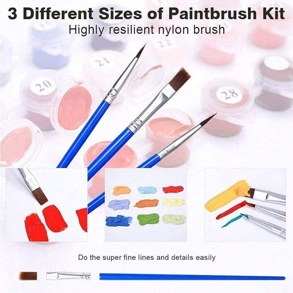 1pc Paint By Numbers Kit For Adults Beginner On Canvas, Adults' Paint-By-Number Kits, Adult ...