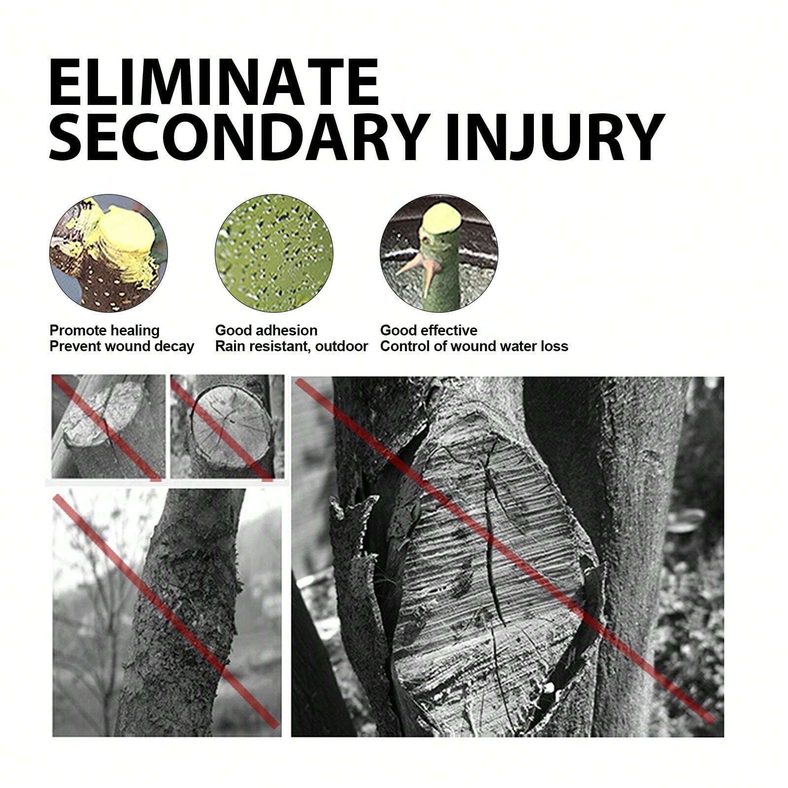 1pc 100g + 1pc Brush Yegbong Plant Wound Healing Ointment, For ...