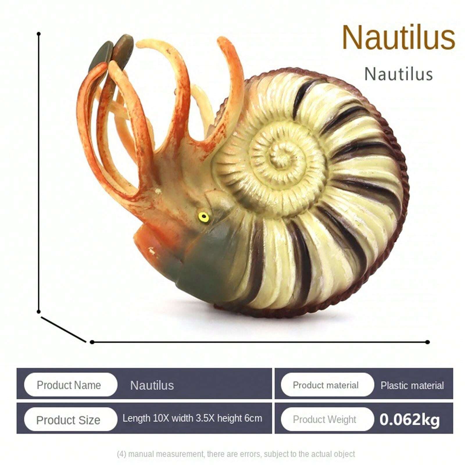 Realistic Prehistoric Parrot Shell Fossil Ammonite Model Toy Solid ...