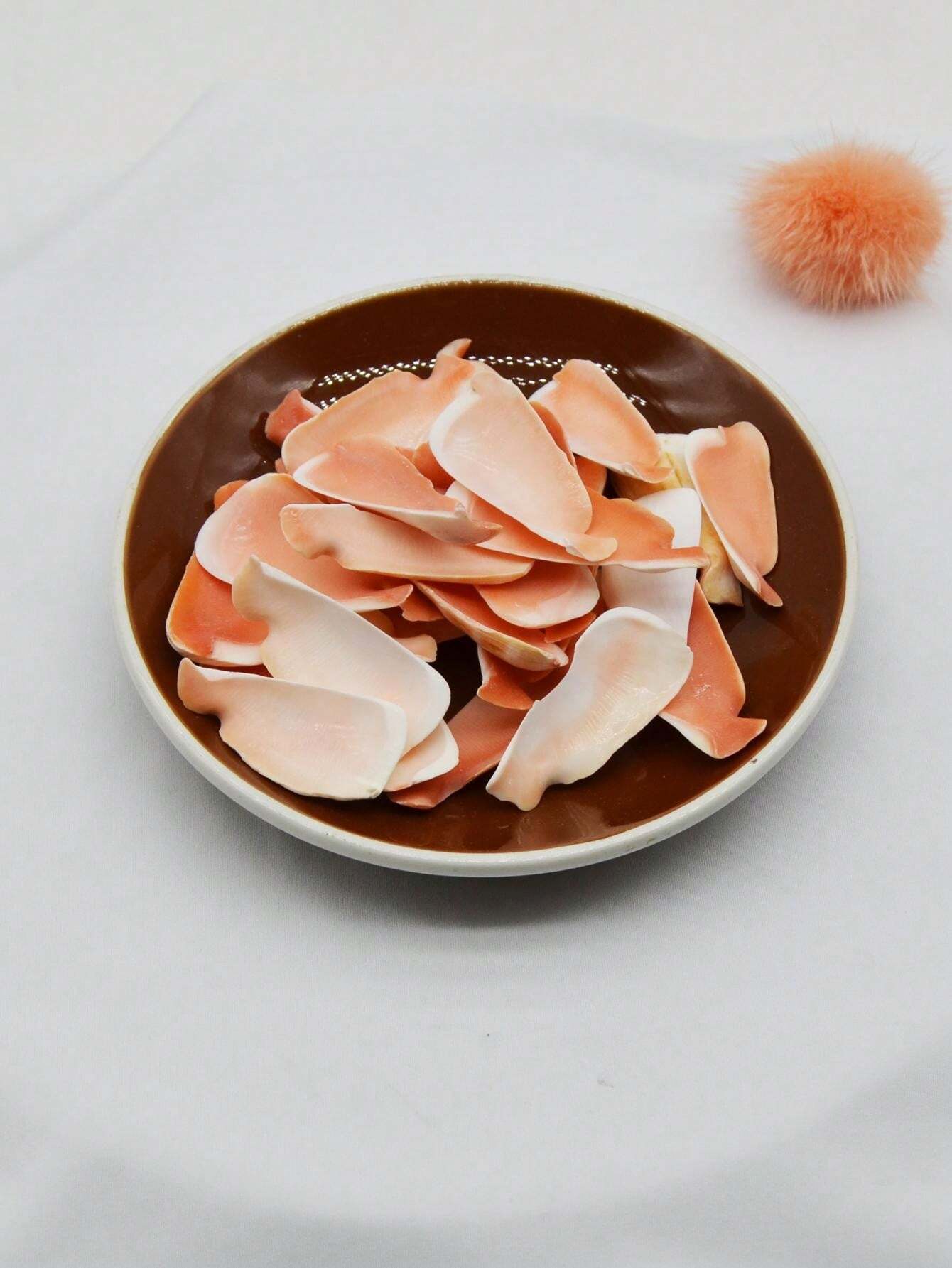 30pcs/Pack Natural Conch Sea Shells, Red Shells, With/Without Holes ...