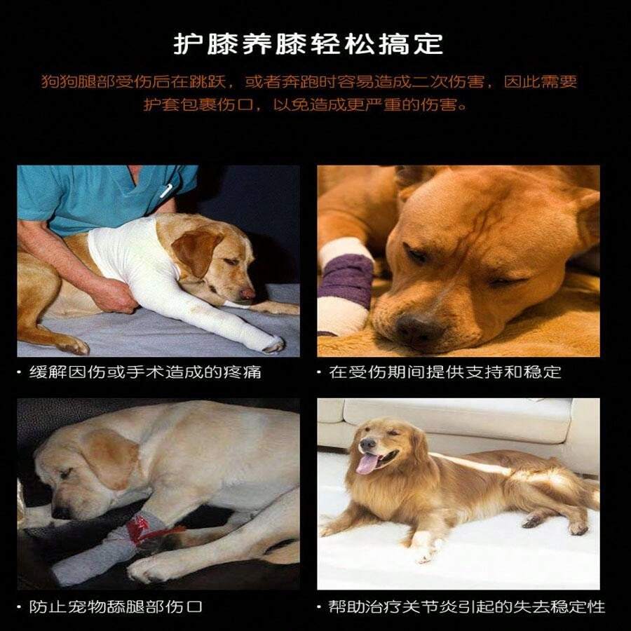 Pet Knee Joint Protection And Recovery Set, Leg Support And Brace For ...