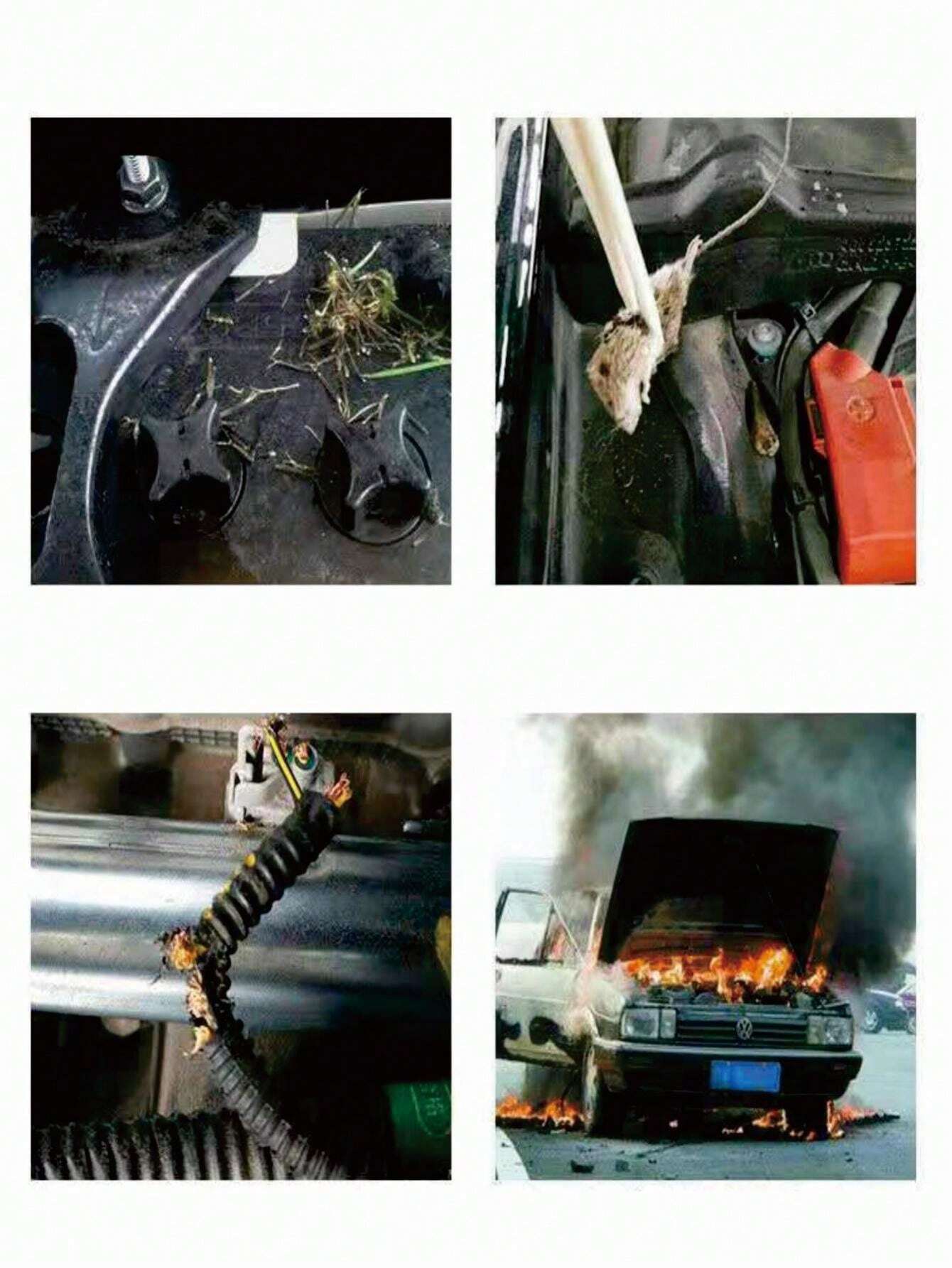 Electronic Ultrasonic Rodent Repellent, USB Rechargeable And Portable ...