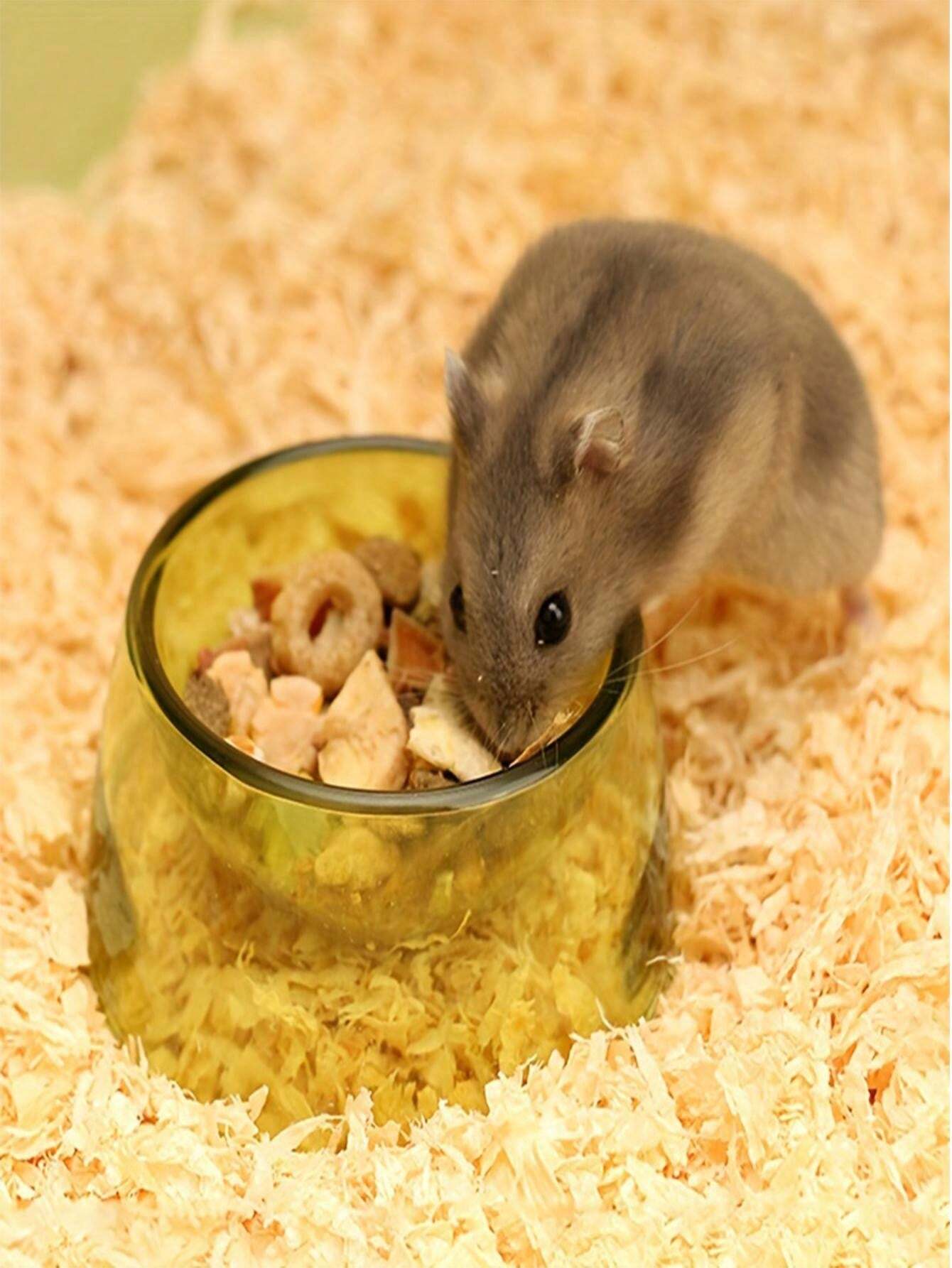 Hamster Food Bowl, Hedgehog Small Animal Circular Food Bowl, Plastic ...