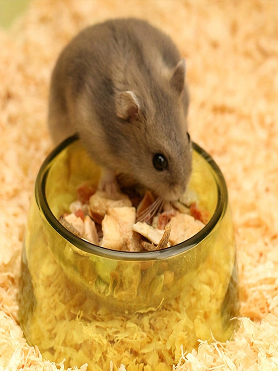 Hamster Food Bowl, Hedgehog Small Animal Circular Food Bowl, Plastic ...