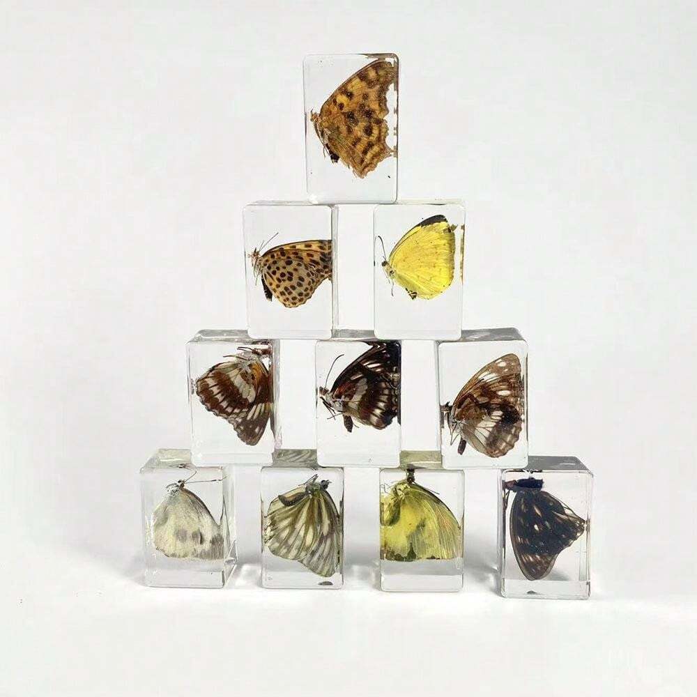 Handmade Resin Dripping Insect Specimen, Creative Transparent Amber ...