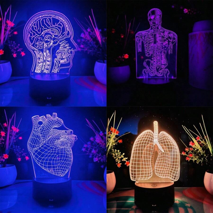A Series Of Human Anatomy 3D LED Night Light, 7-Color Gradual Changing ...